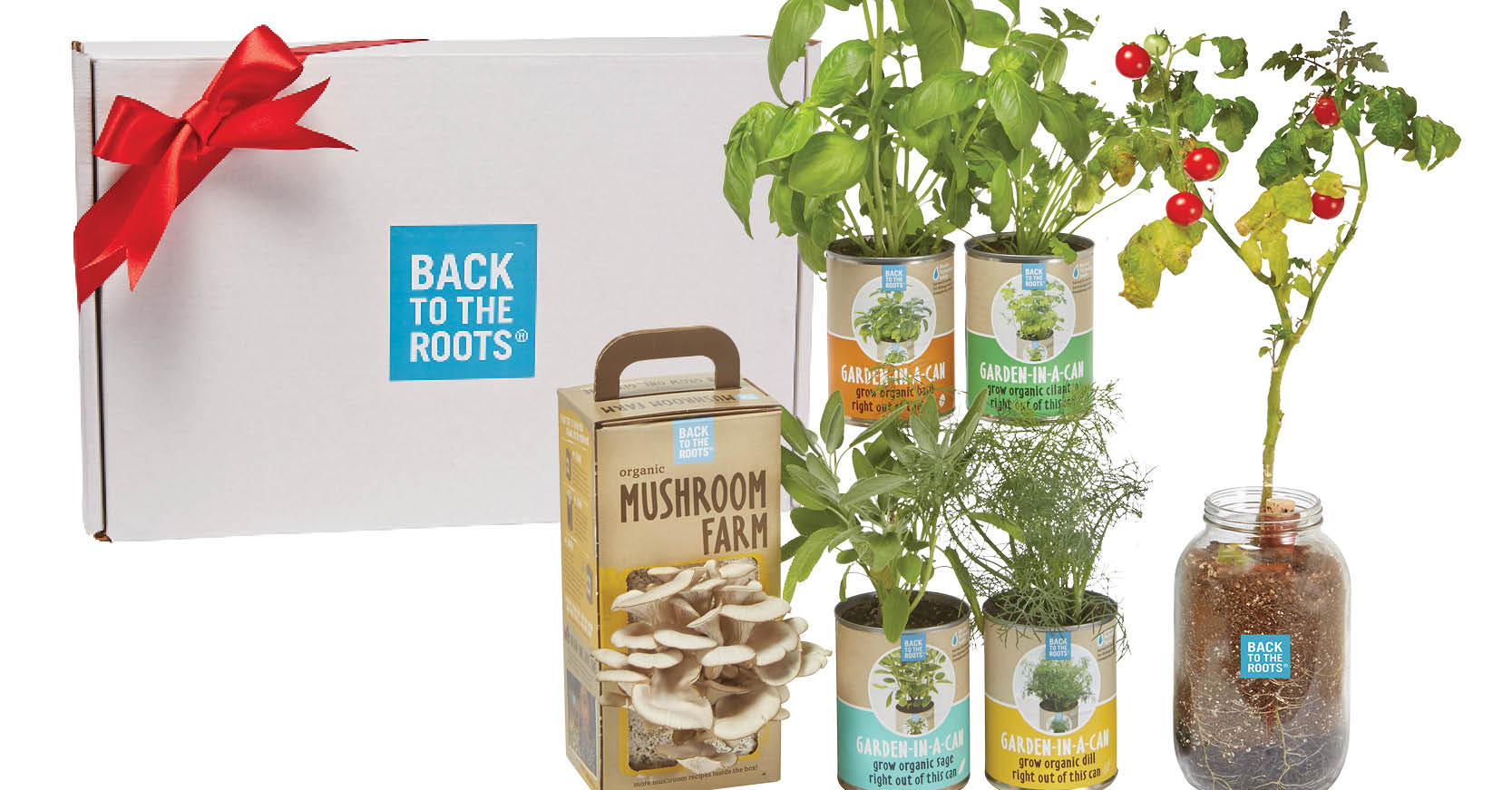 Back To The Roots Contest! | Organic Voices