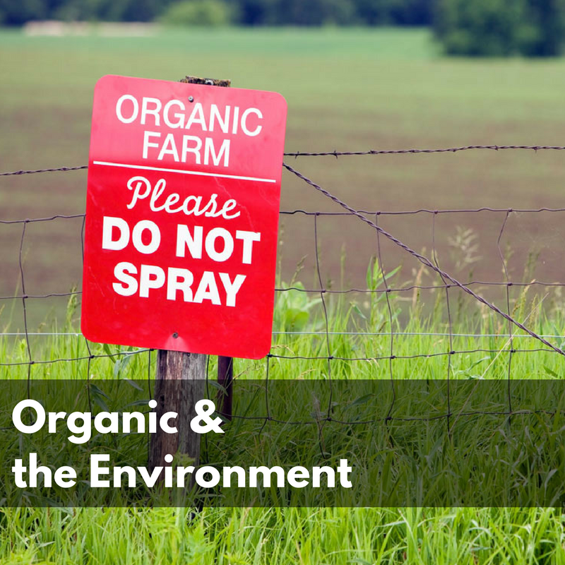 Resources | Organic Voices