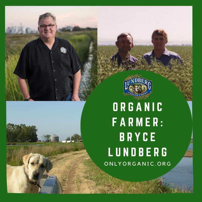 Organic Farmer Q&A: Bryce Lundberg | Organic Voices